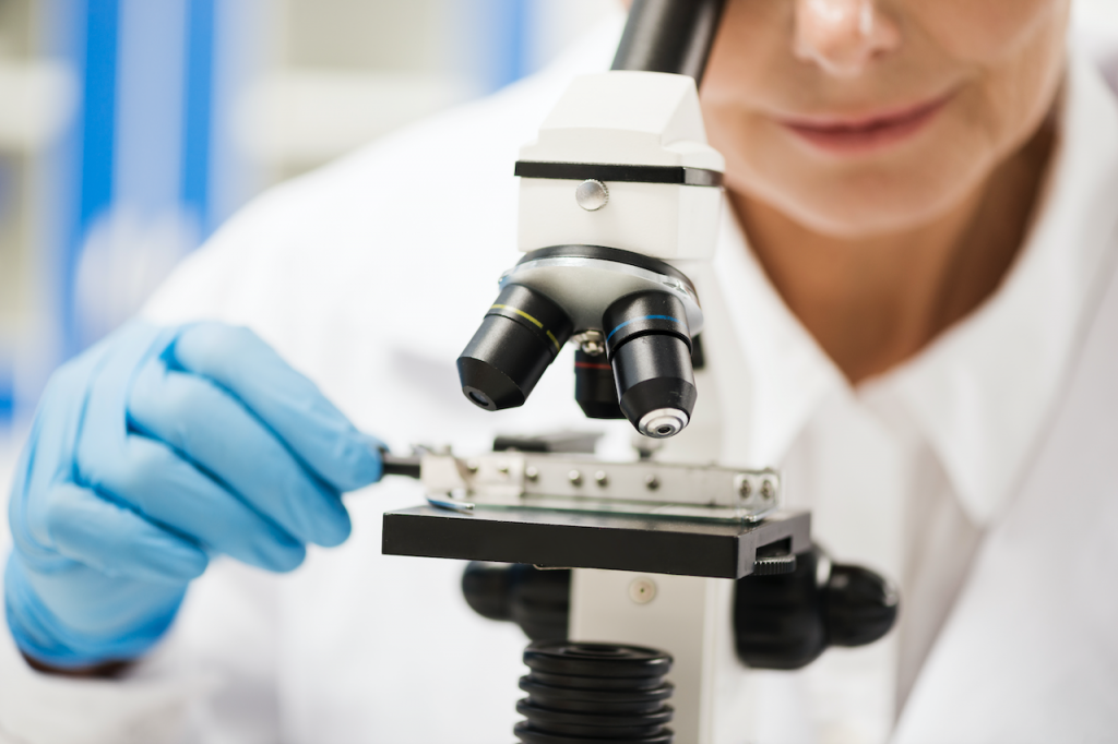 Productos - GSI México