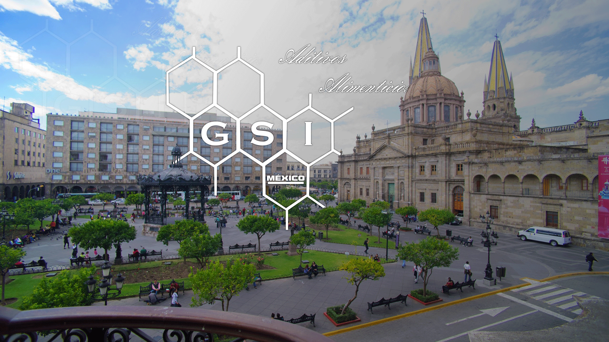 Quiénes somos - GSI México