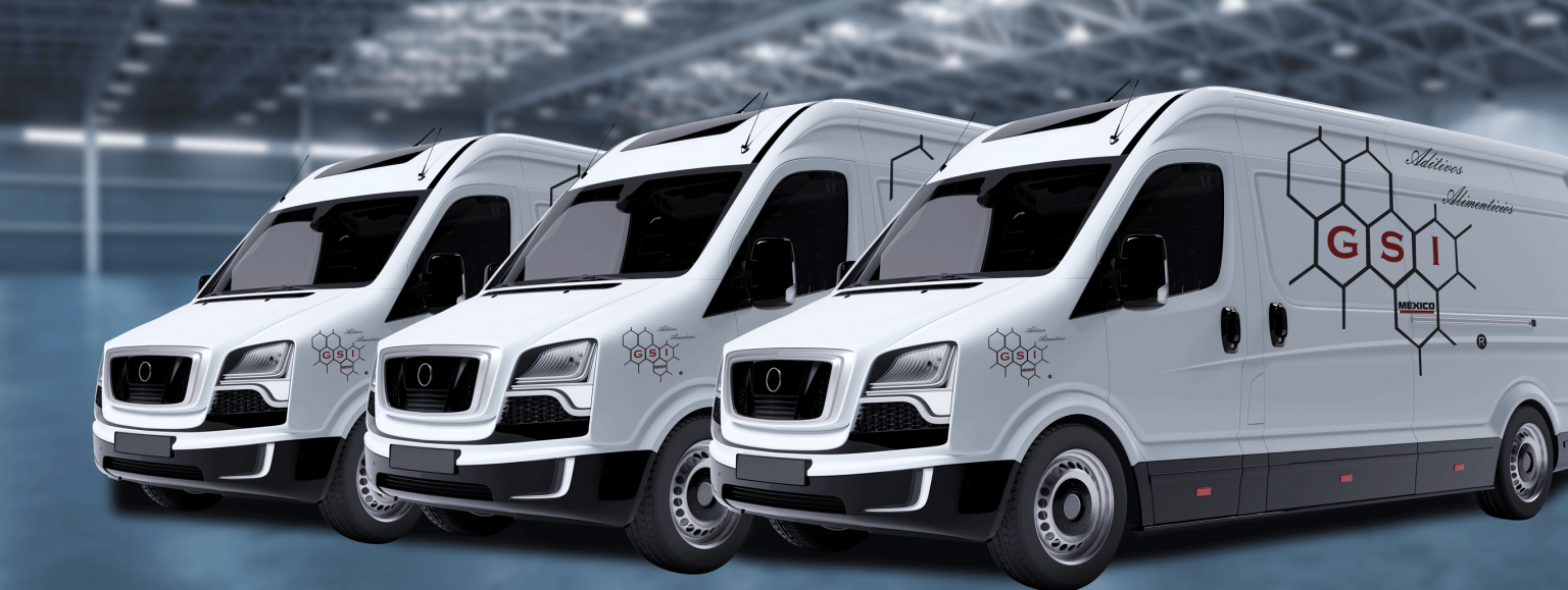 Quiénes somos - GSI México