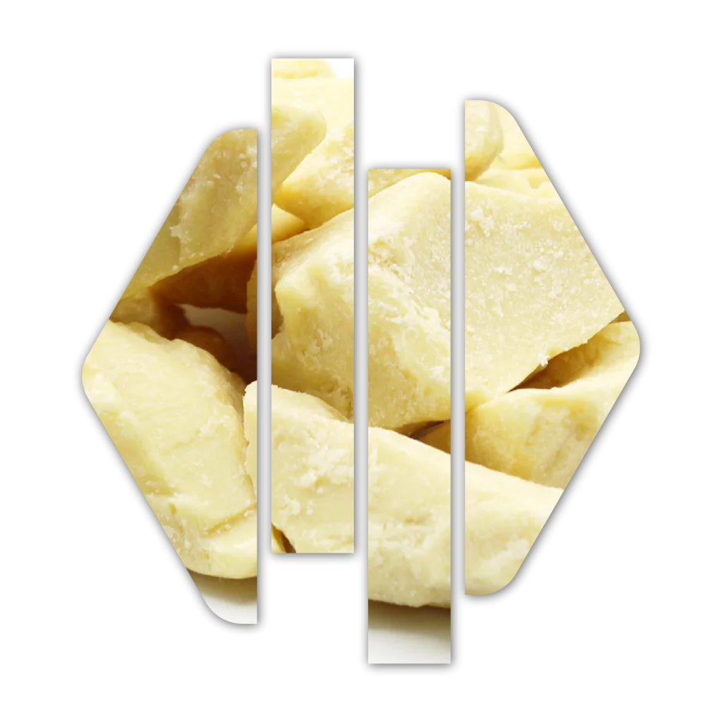 Productos - GSI México